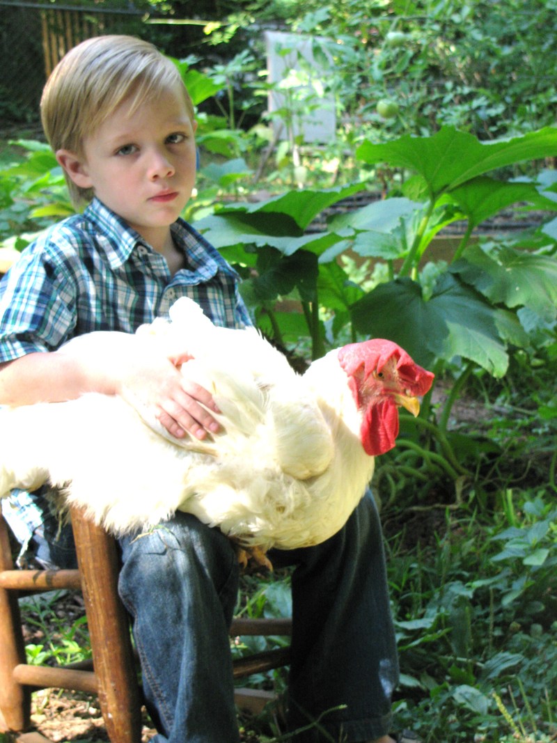 Murray McMurray Hatchery - Photo Gallery Detail